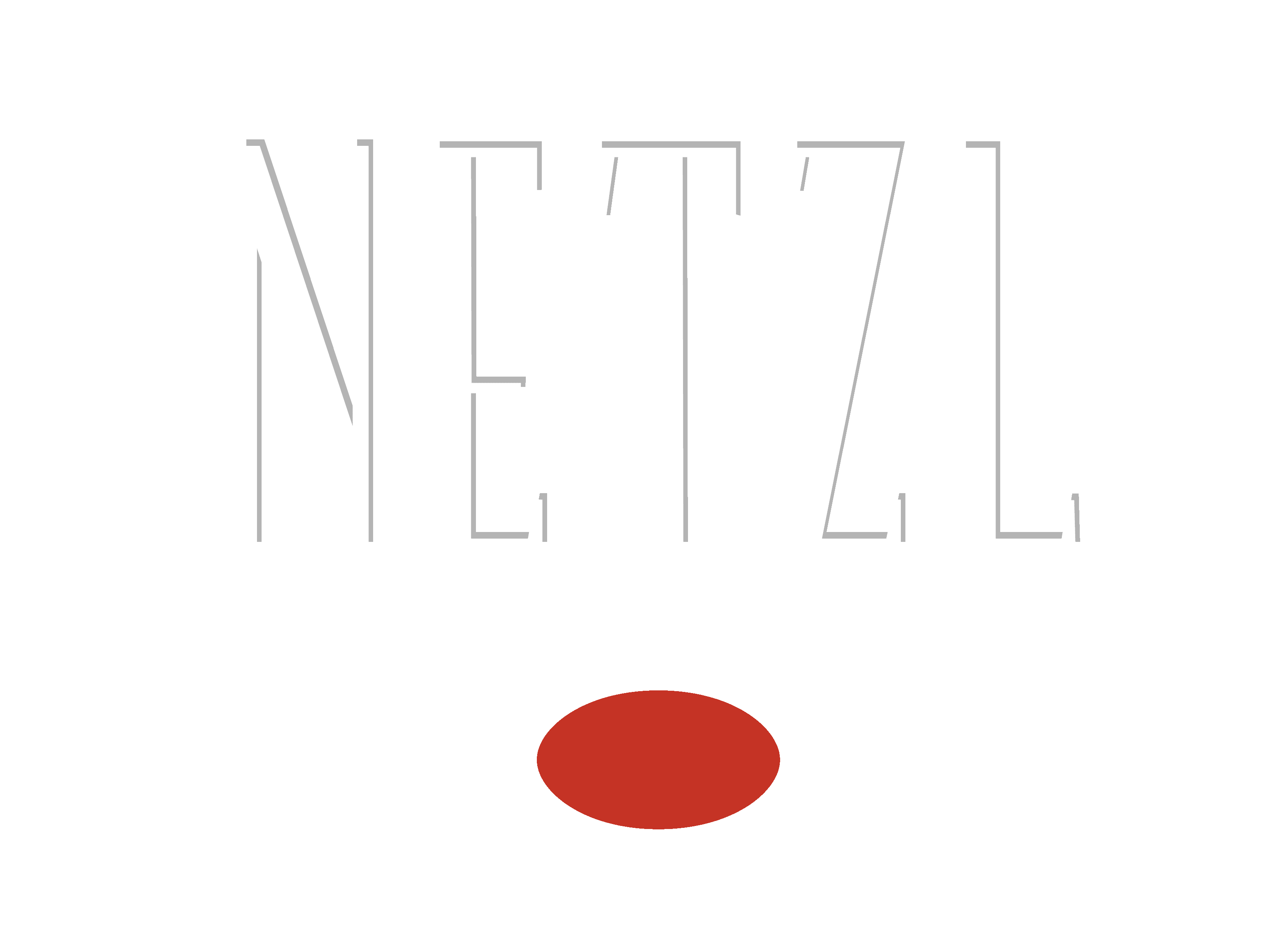 logo_Netzel - Collective Energy